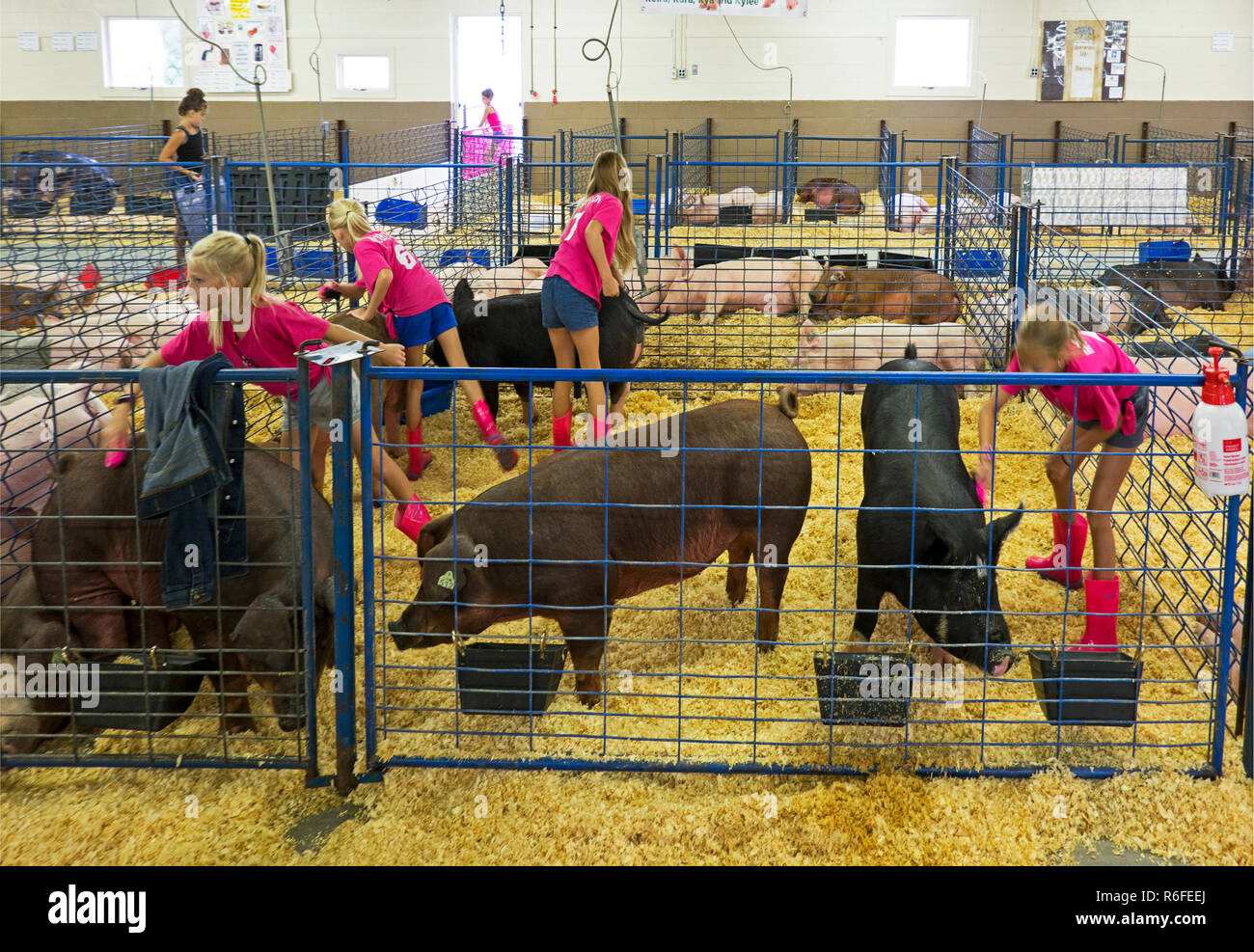 Lebanon county fair Pennsylvania Stock Photo - Alamy