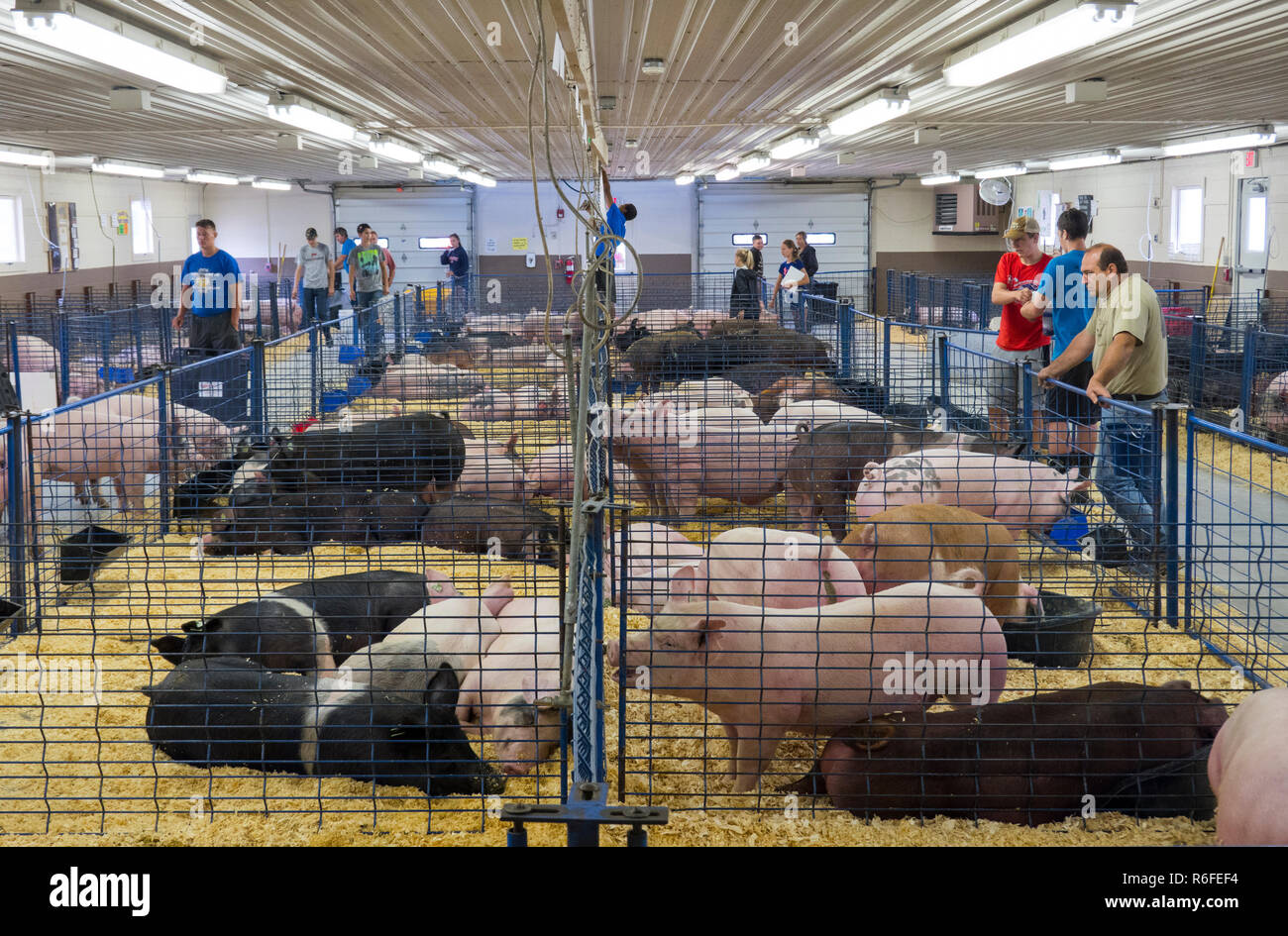 Lebanon county fair Pennsylvania Stock Photo - Alamy