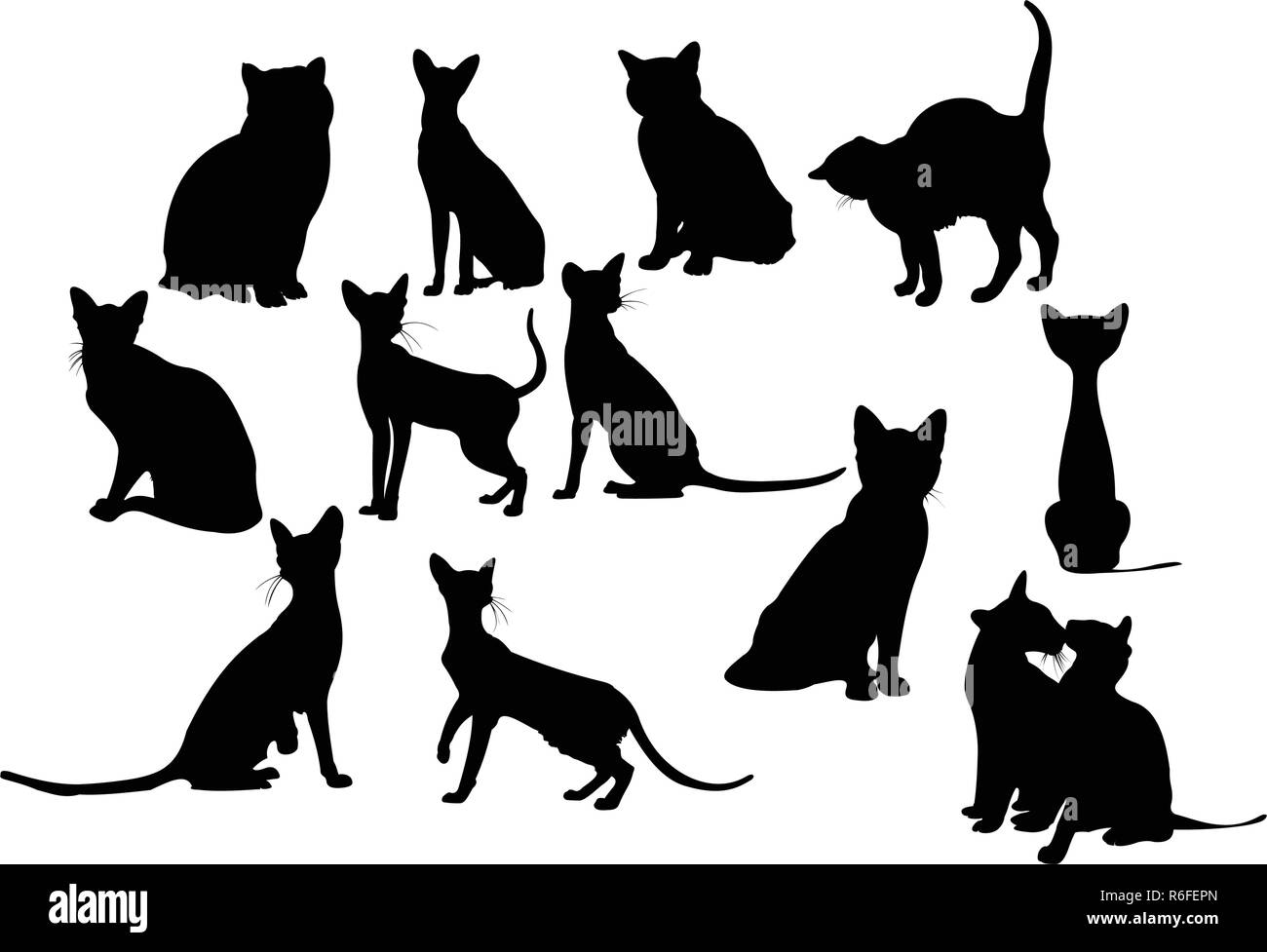 Twelve cats silhouettes. Vector illustration Stock Vector Image & Art ...