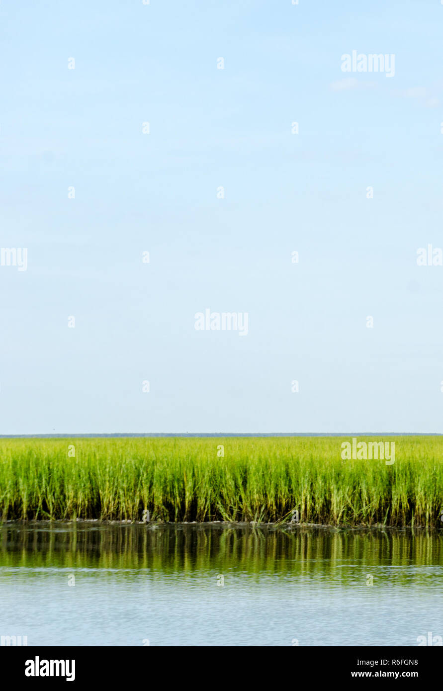 Salt marsh preserve hi-res stock photography and images - Alamy
