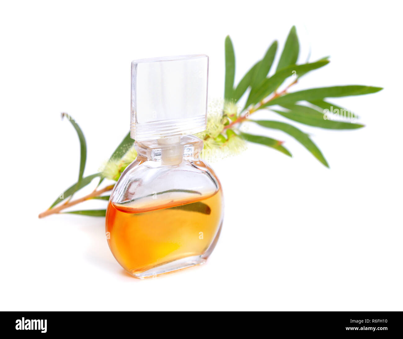 Australian essential oil hi-res stock photography and images - Alamy