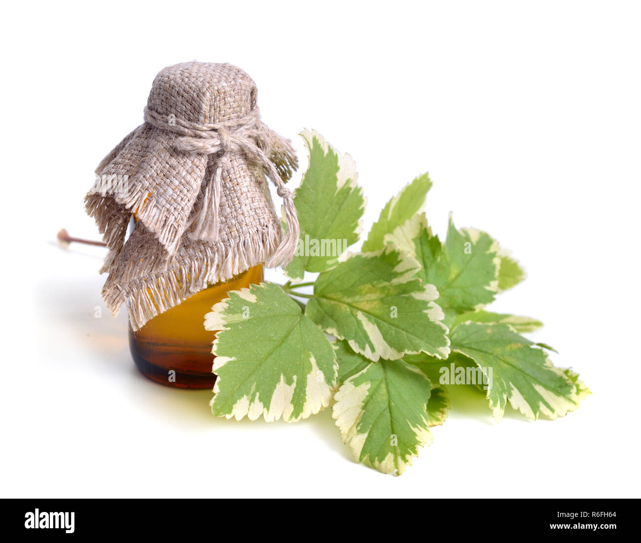 Texture ground snow Cut Out Stock Images & Pictures - Alamy