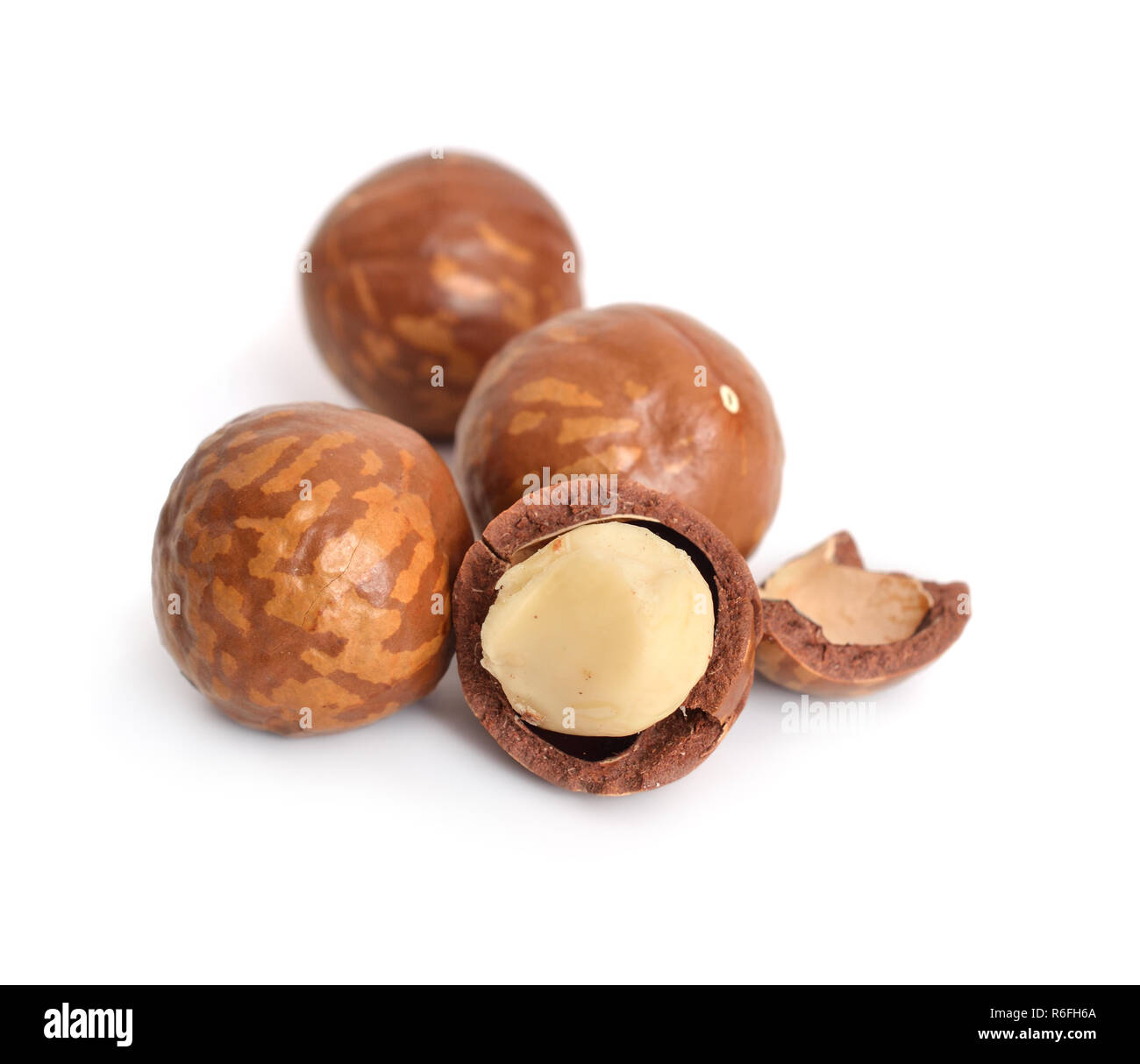Macadamia nuts isolated on white background Stock Photo - Alamy