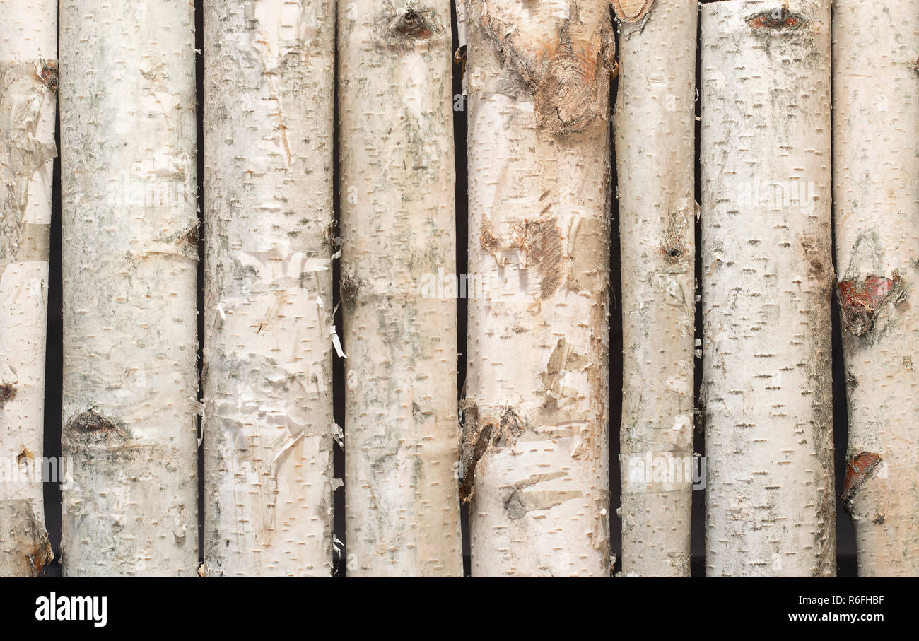 fresh birch stems,close-up Stock Photo - Alamy