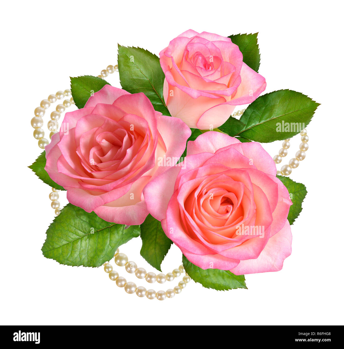 Composition with Pink rose and pearls. Isolated on white background ...