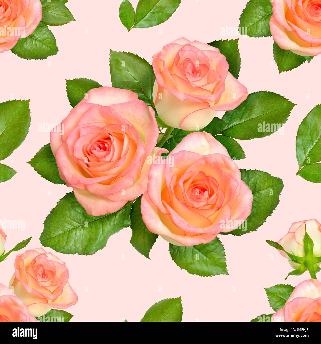 Seamless background with roses hi-res stock photography and images - Alamy