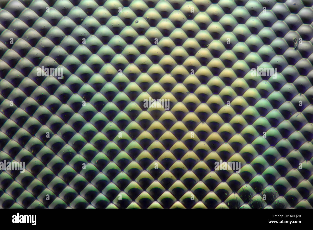 Extreme magnification - Compound eye texture under the microscope Stock ...