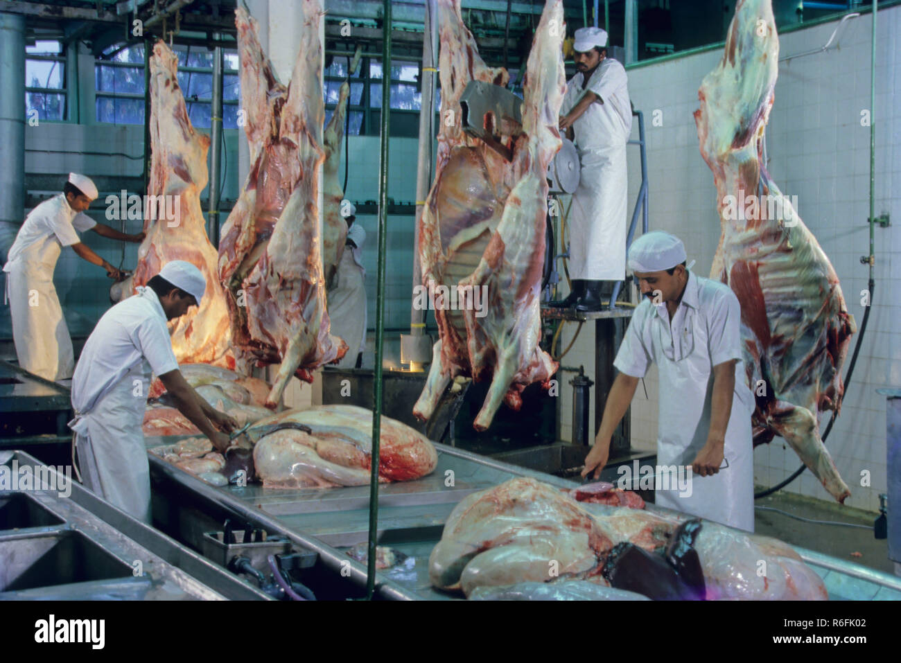 Slaughter hi-res stock photography and images - Alamy