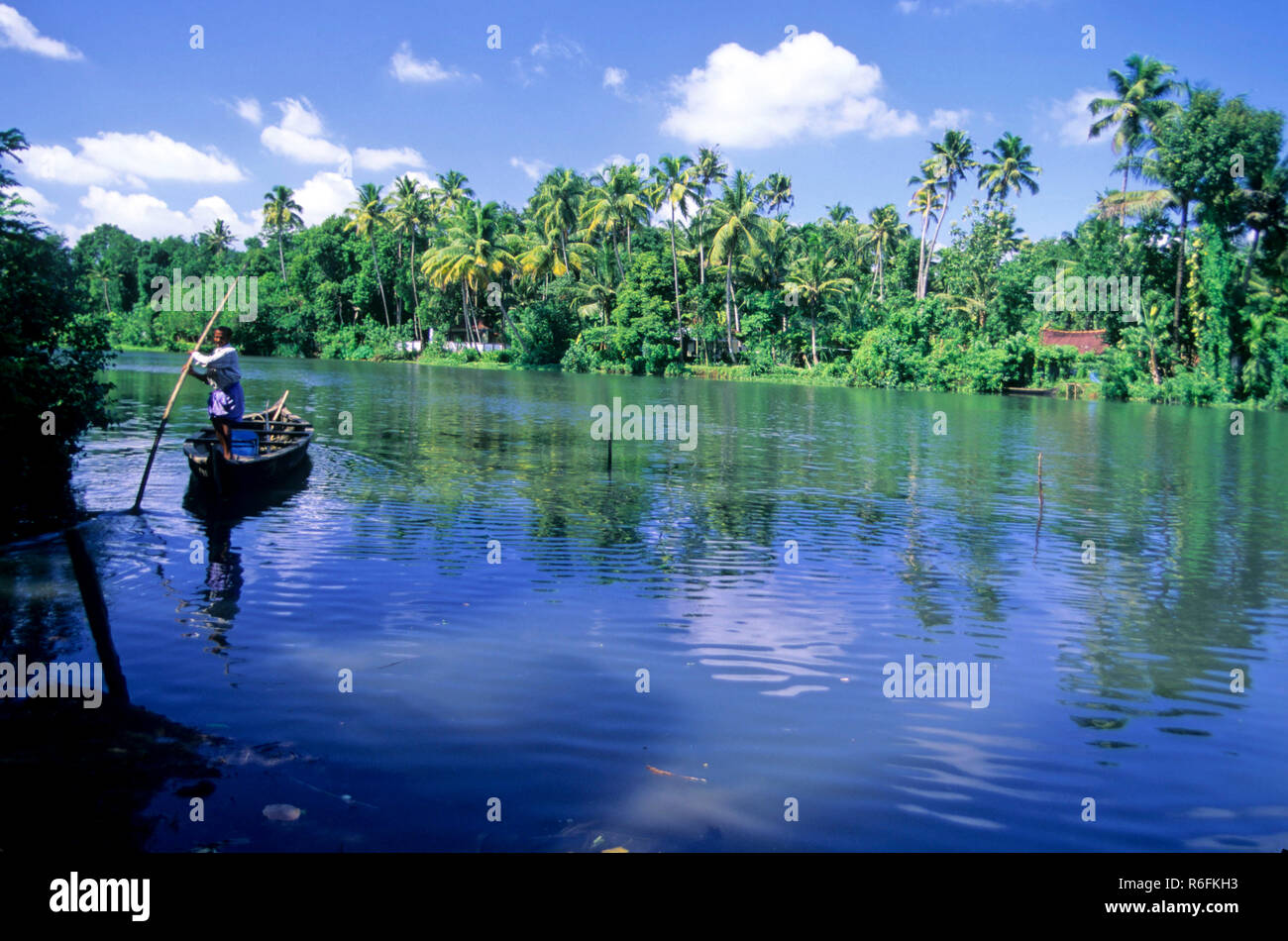 river near cochin (kochi), kerala, india Stock Photo - Alamy