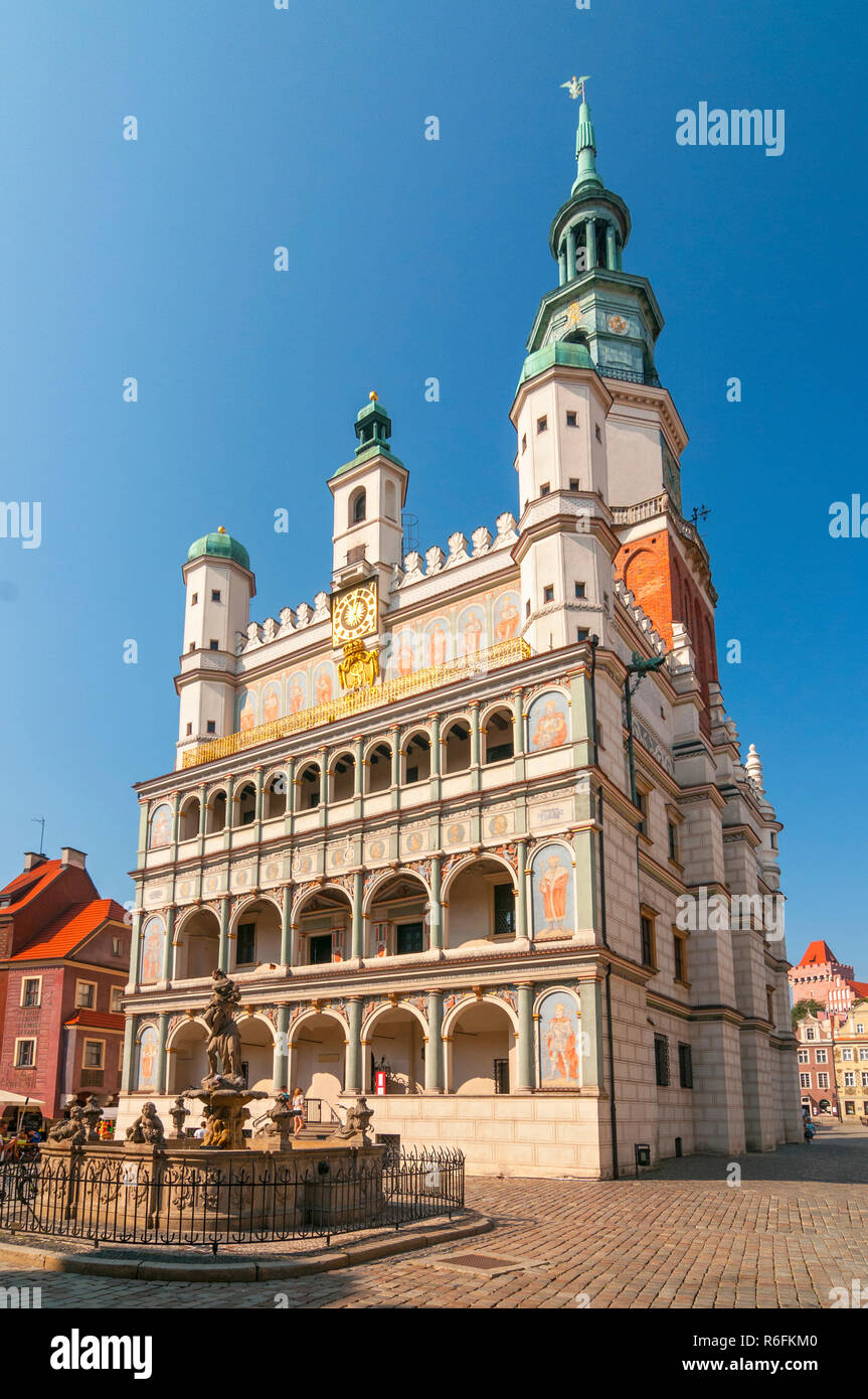 Poznan goats hi-res stock photography and images - Alamy