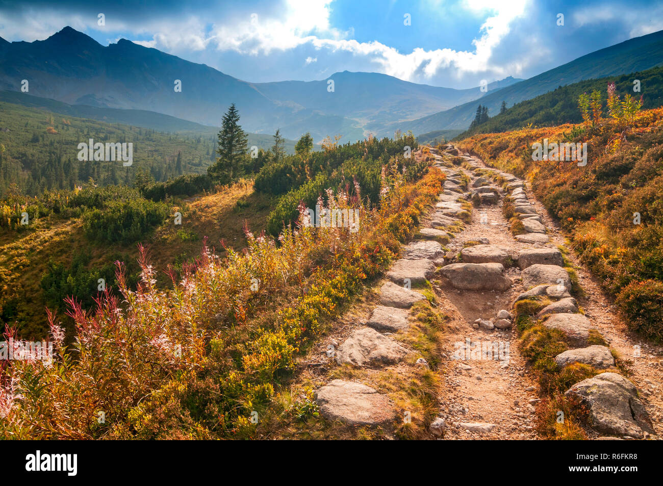 View Of Gasienicowa Valley, High Tatras, Poland Stock Photo - Alamy