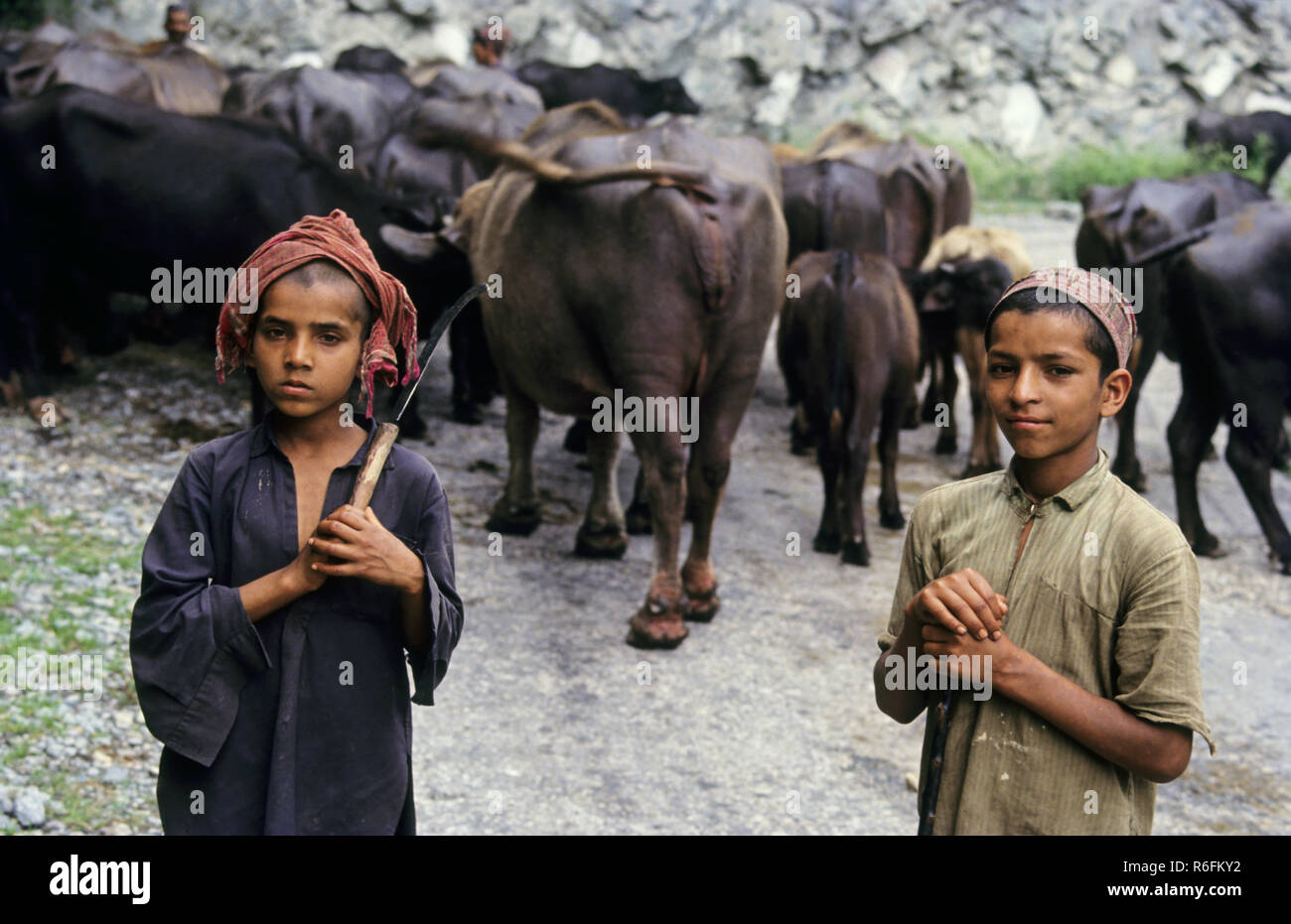 shepherd boys, village, india Stock Photo - Alamy