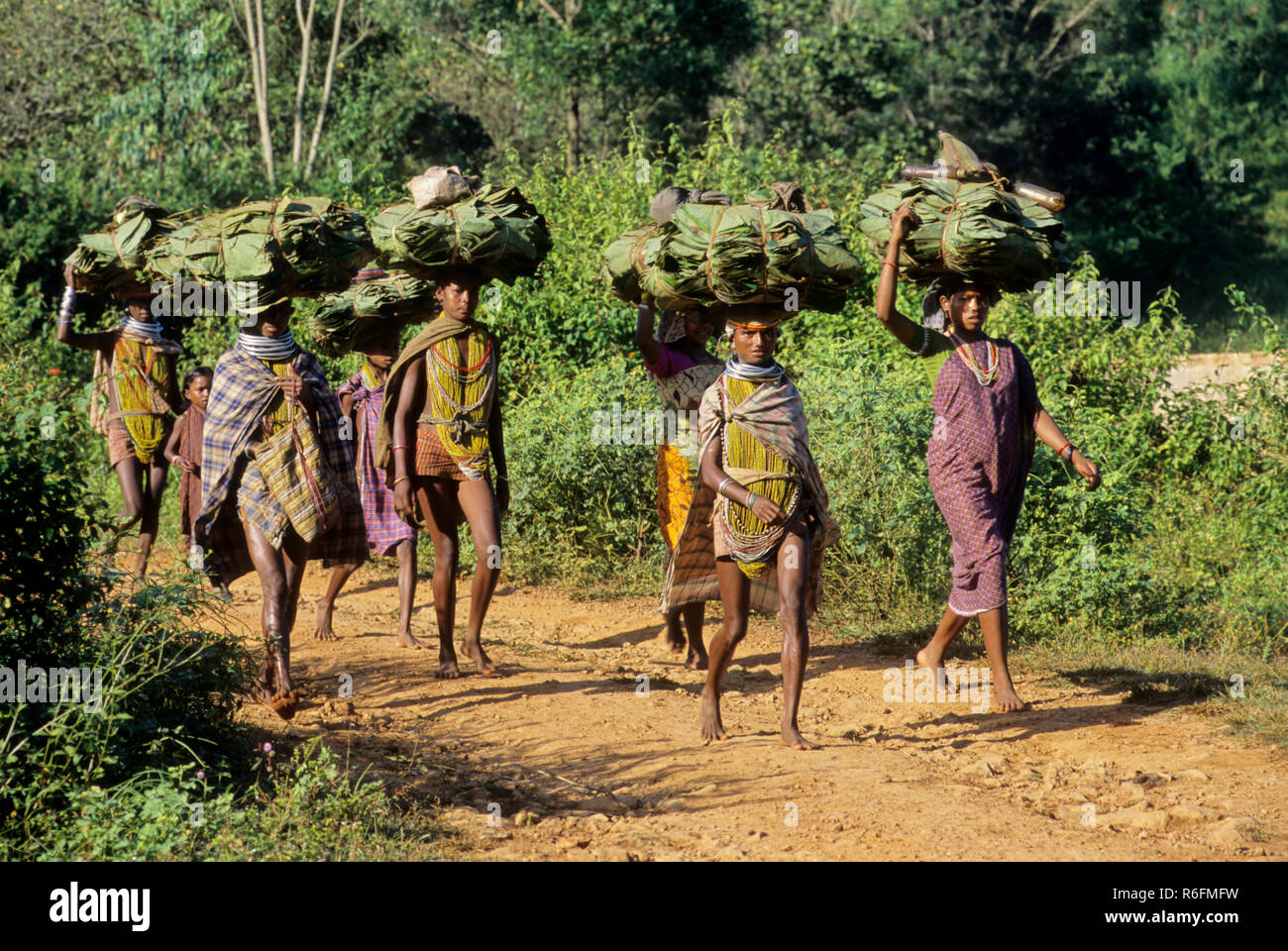 Bonda tribal women carrying leaves on their head, Munda ethnic group ...