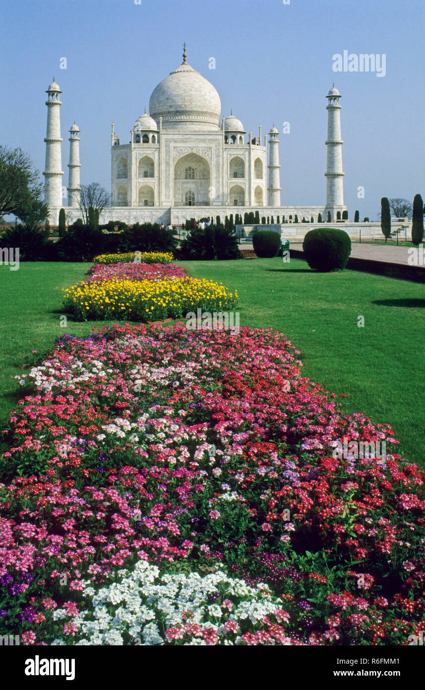 Mumtaz wonder hi-res stock photography and images - Alamy