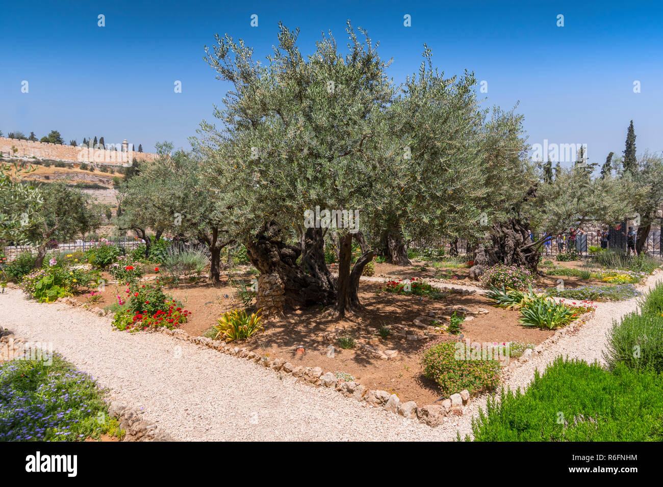Middle east history gethsemane hi-res stock photography and images - Alamy