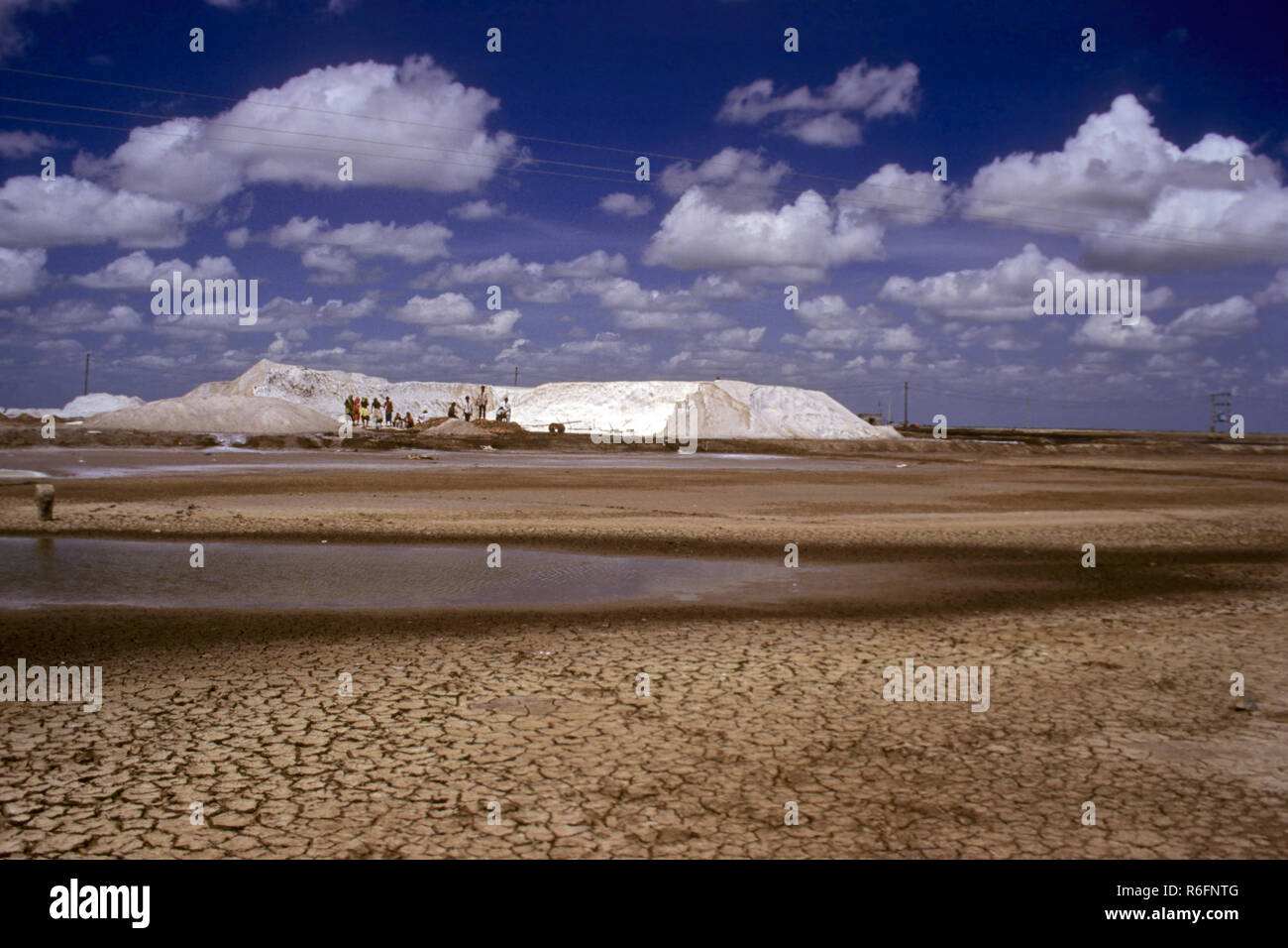 Salt, Rann Of Kutch, Gujarat, India Stock Photo - Alamy