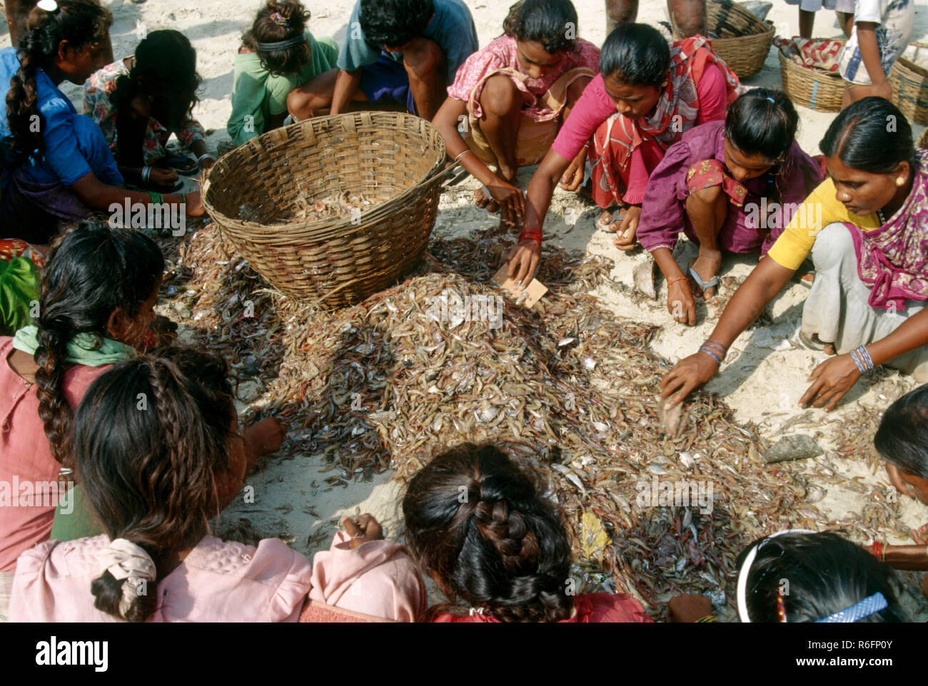Koli women hi-res stock photography and images - Alamy