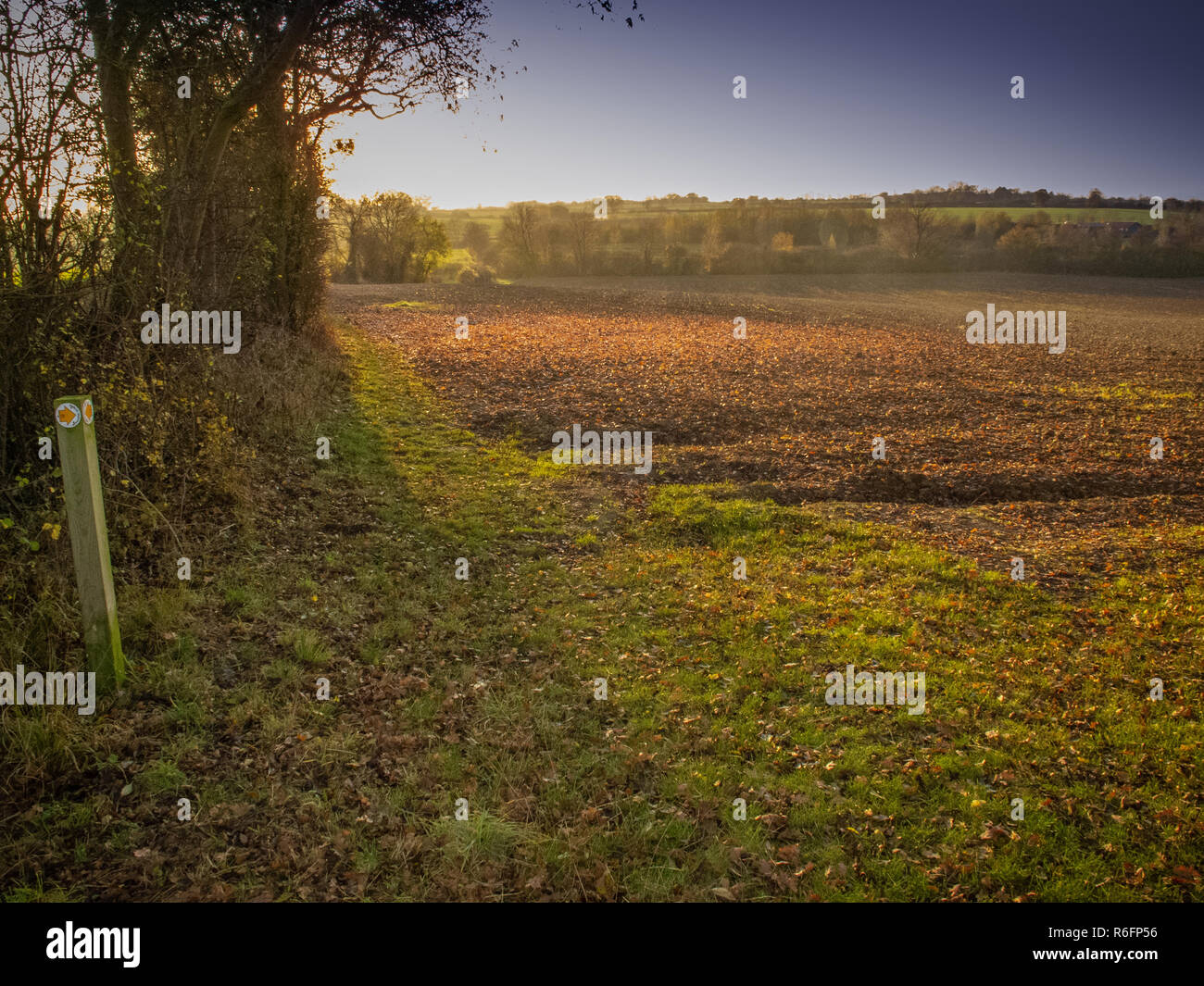 Beautiful autumn field uk hi-res stock photography and images - Alamy