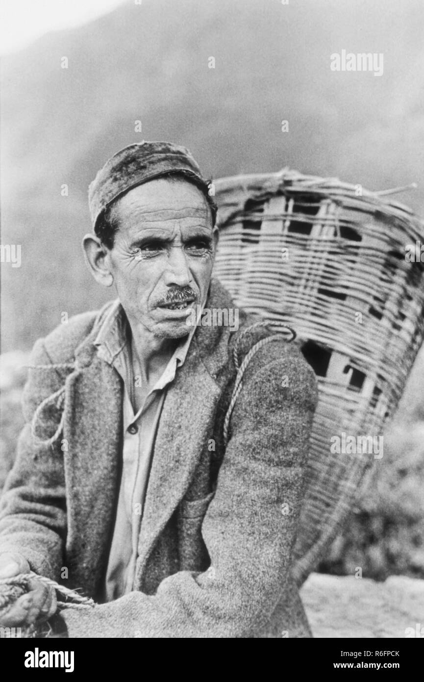 Apple picker, man with cane basket, India, old vintage 1900s picture ...