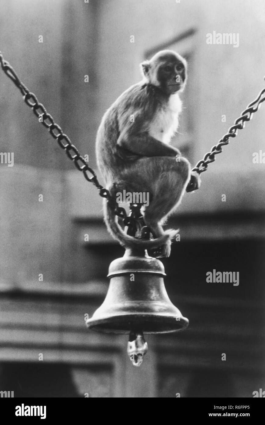 Bell Arts Stock Photos & Bell Arts Stock Images - Alamy