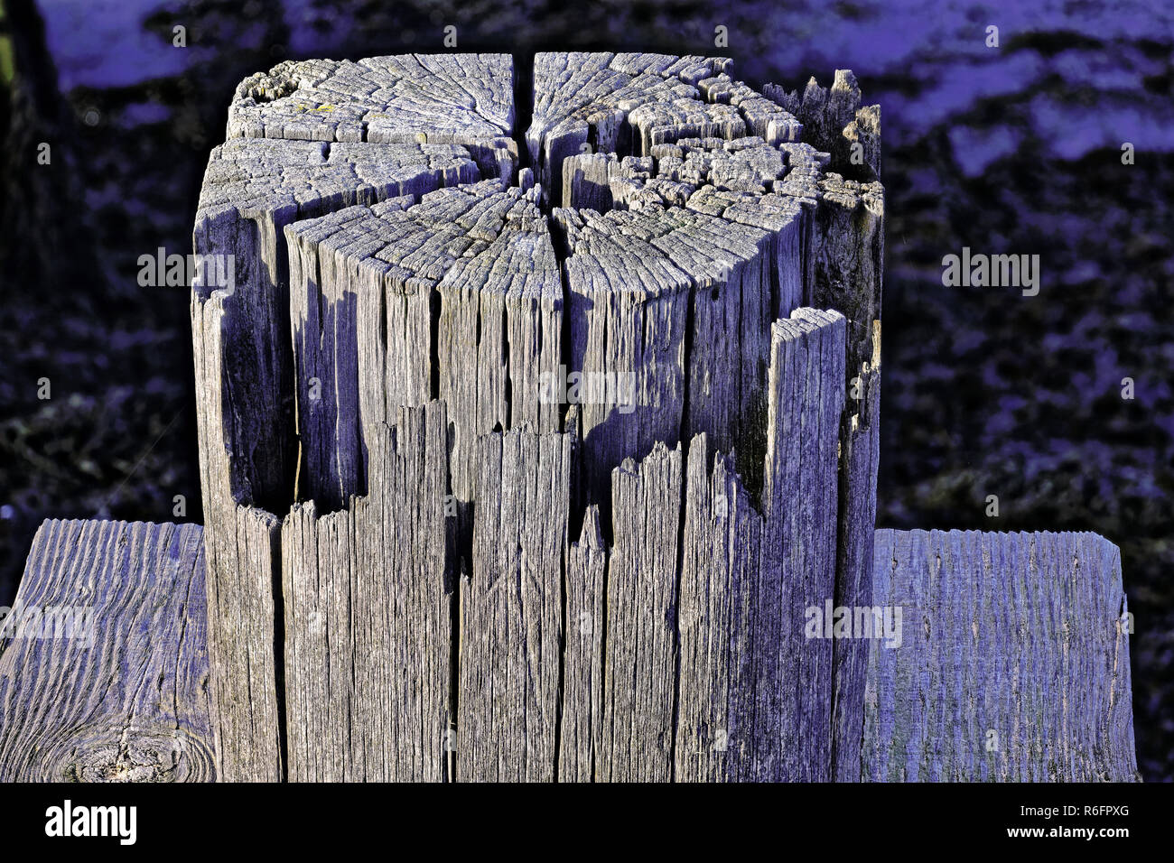 Old worn pier post for boats at Blyth Northumberland Stock Photo - Alamy
