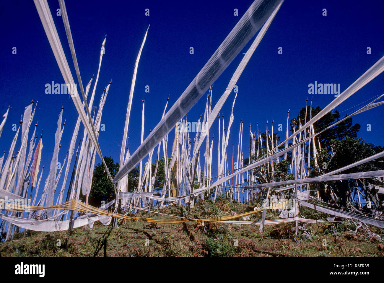 prayer flags, india Stock Photo - Alamy