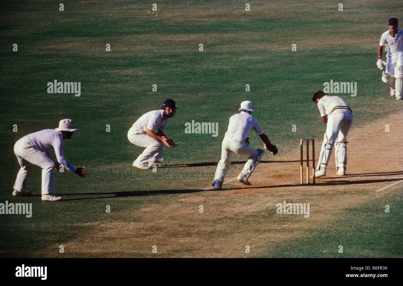 Cricket fielding hi-res stock photography and images - Alamy
