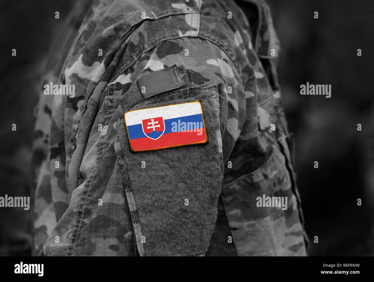 Flag of Slovakia on soldiers arm (collage Stock Photo - Alamy