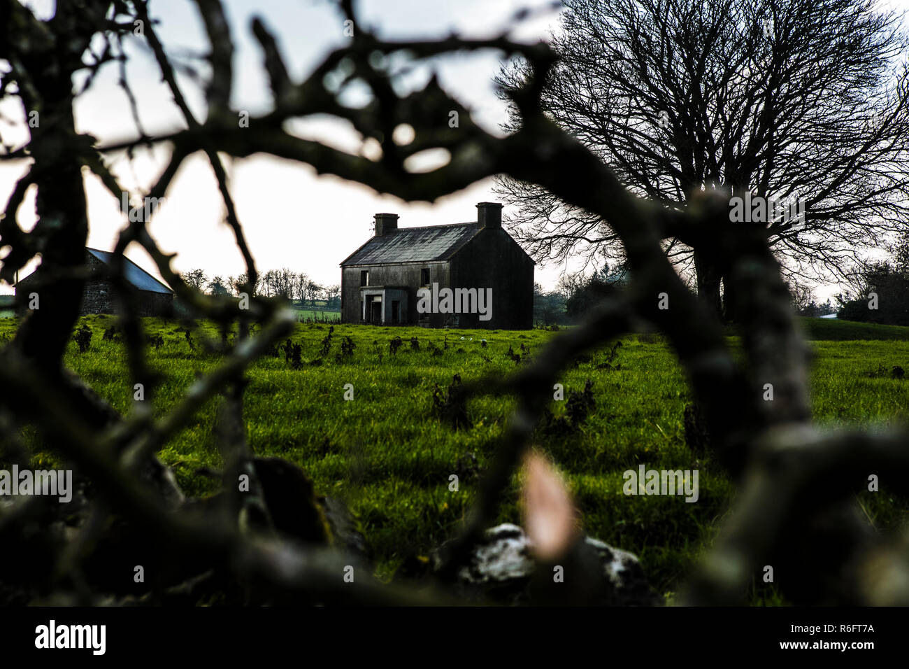 Abandoned cottage hi-res stock photography and images - Alamy