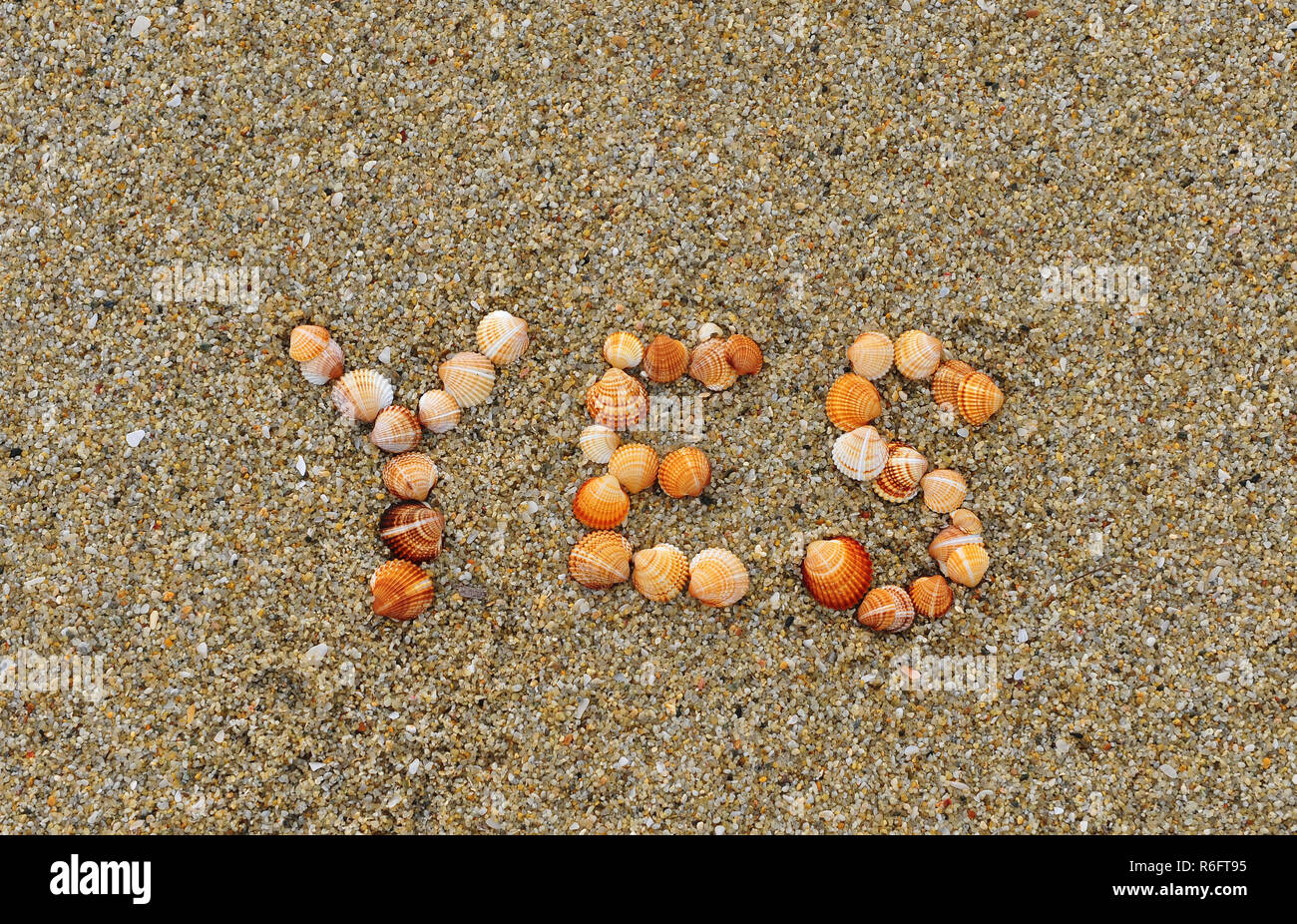 Yes sea shells sign on the sand beach Stock Photo - Alamy