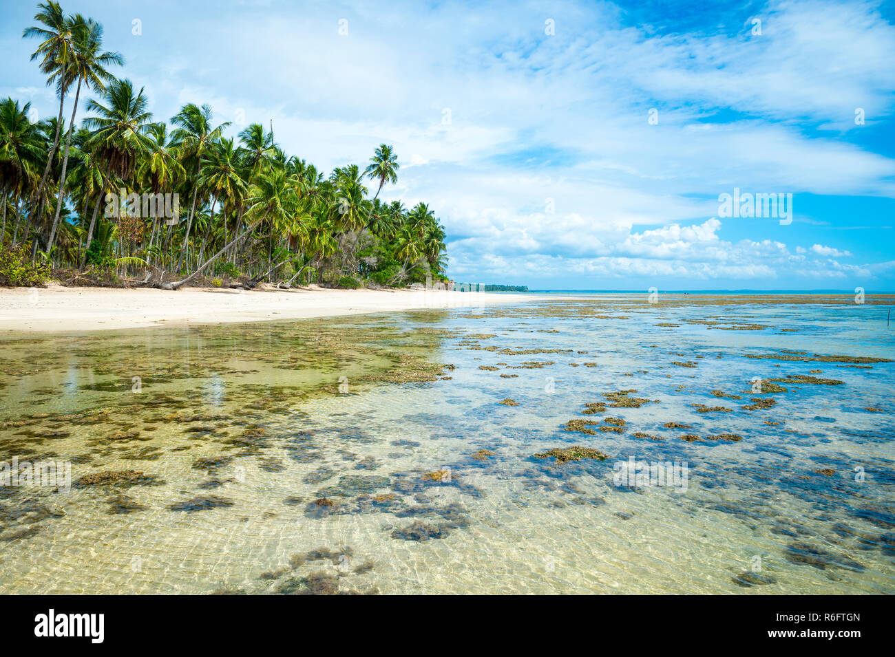 Bright scenic view from the shallows of a rustic tropical beach on a ...