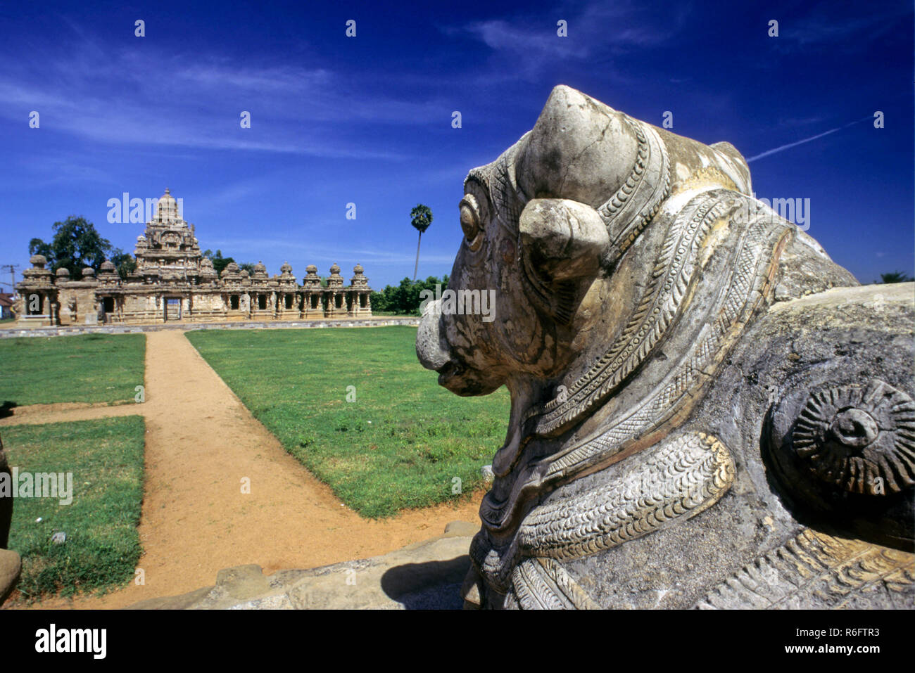nandi in front of kailasanathar temple, kanchipuram, tamil nadu, india ...