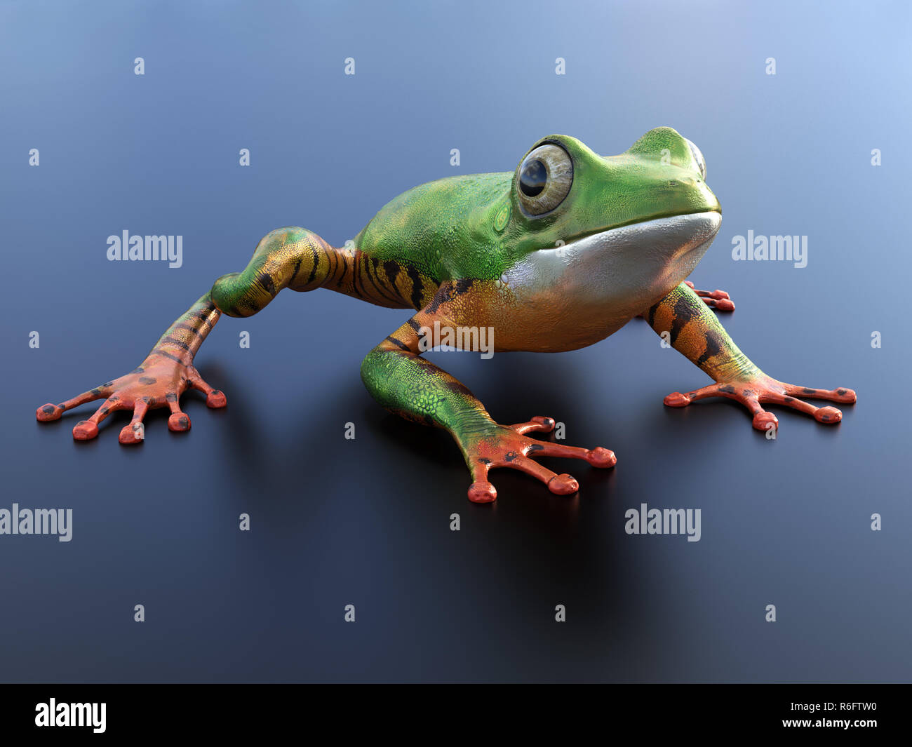 Realistic frog hi-res stock photography and images - Alamy