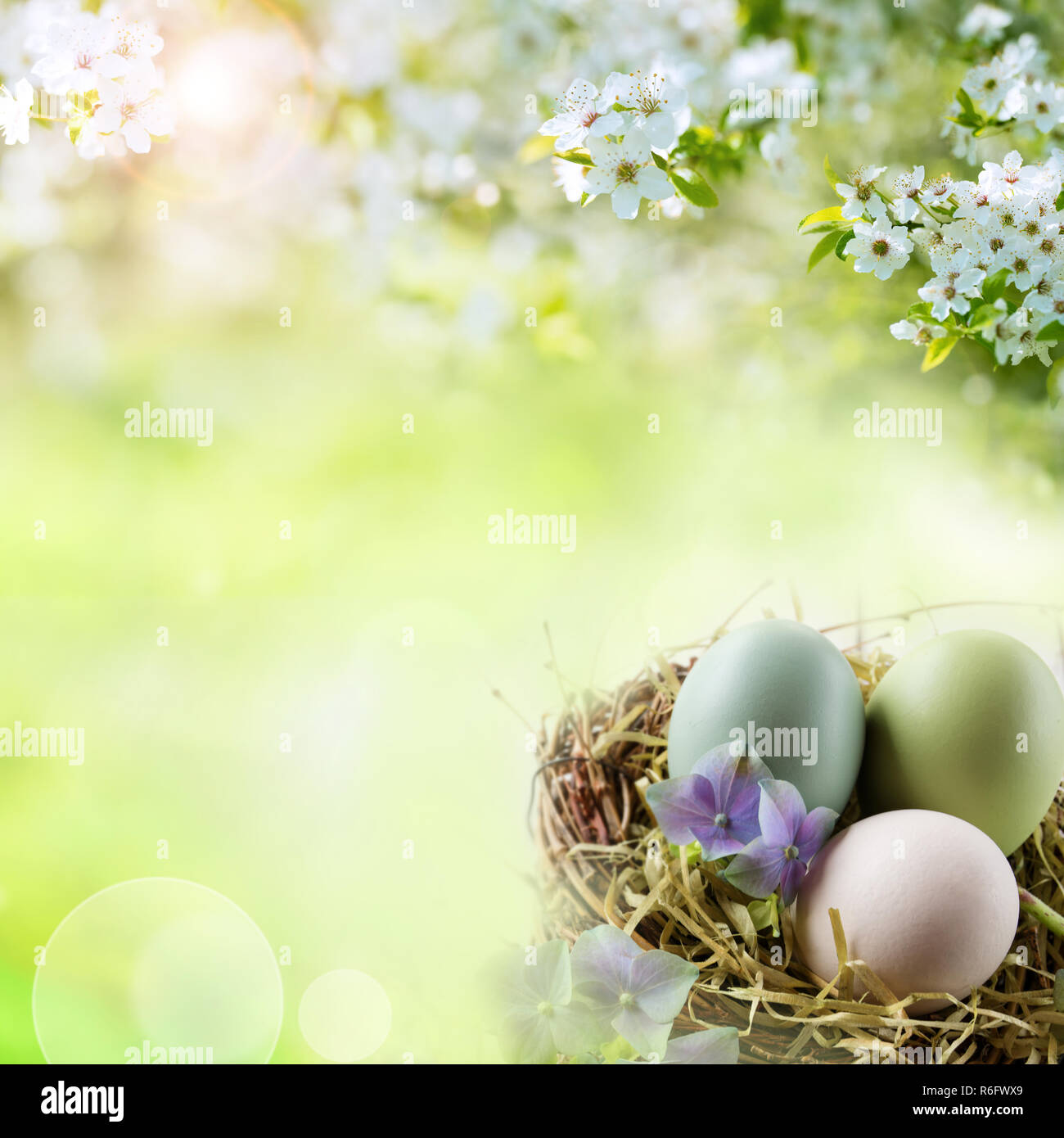spring landscape with easter eggs in a nest Stock Photo - Alamy