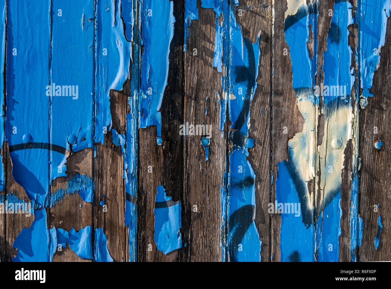 Old blue paint splitting on wood Stock Photo - Alamy