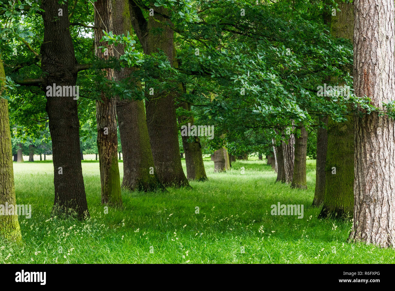 Two parallel lines hi-res stock photography and images - Alamy
