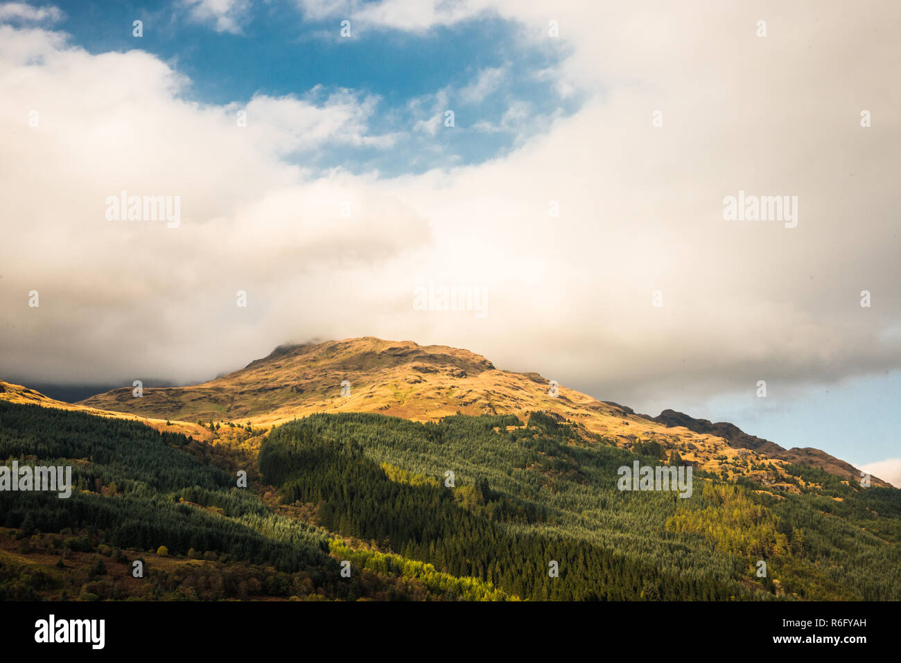 Bonny Scotland High Resolution Stock Photography and Images - Alamy