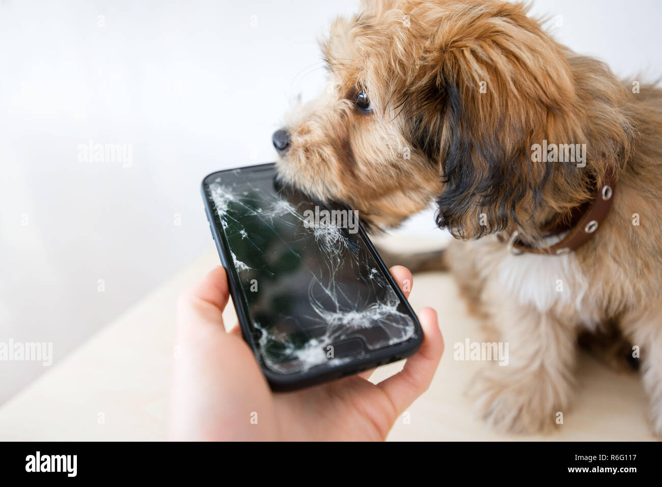Broken and damaged smartphone with cracks on glass screen next to ...