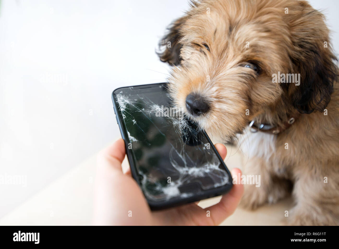 Broken and damaged smartphone with cracks on glass screen next to ...