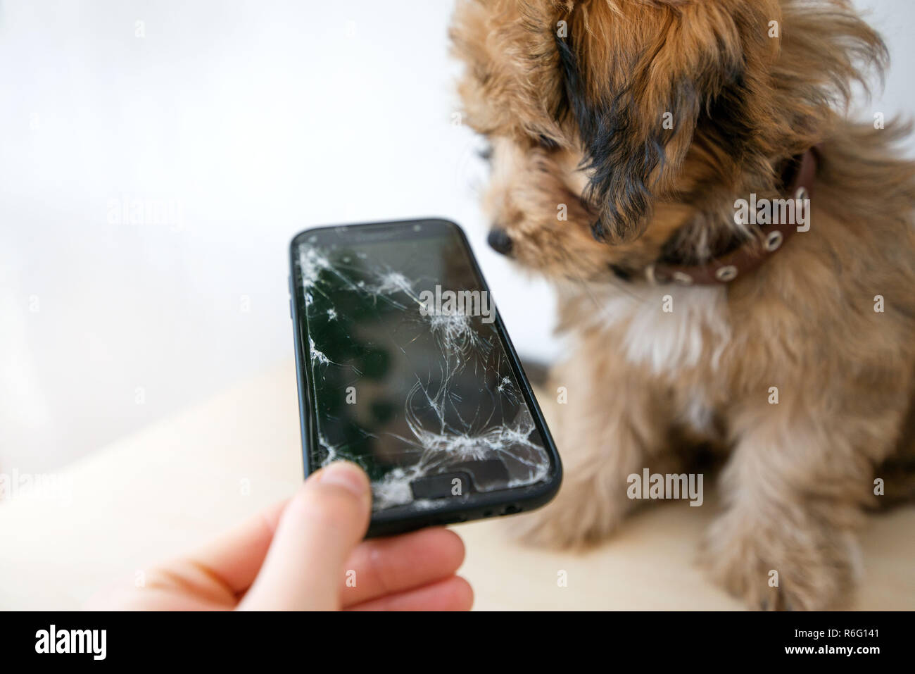 Broken and damaged smartphone with cracks on glass screen next to ...