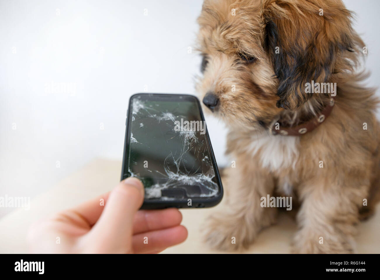 Broken and damaged smartphone with cracks on glass screen next to ...