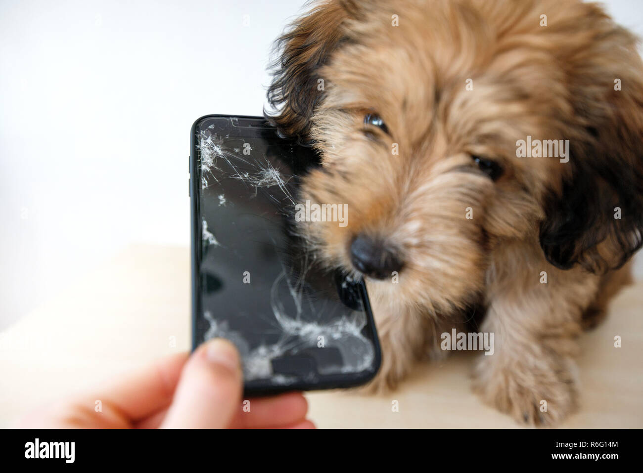 Broken and damaged smartphone with cracks on glass screen next to ...