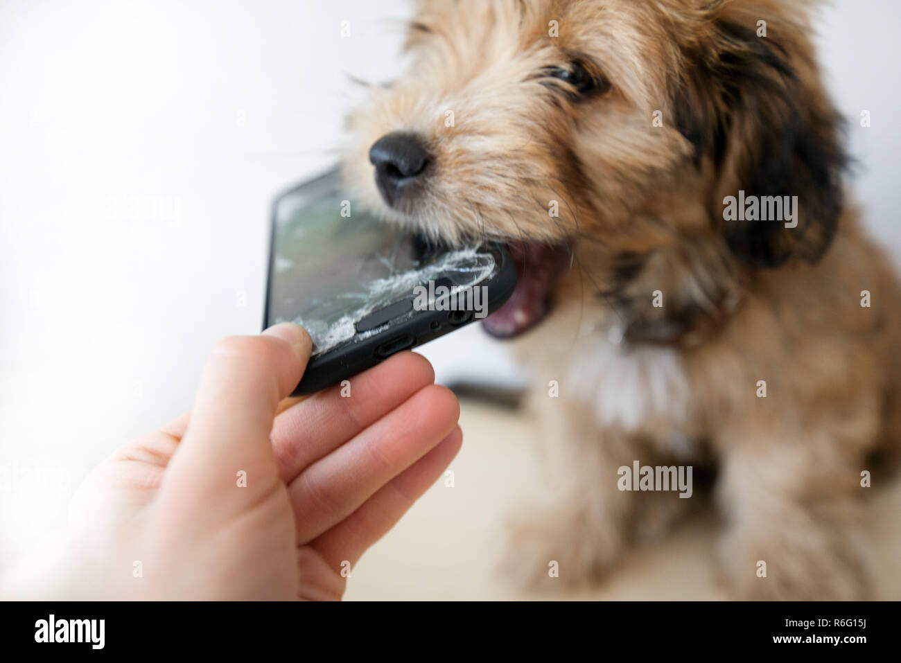 Broken and damaged smartphone with cracks on glass screen next to ...