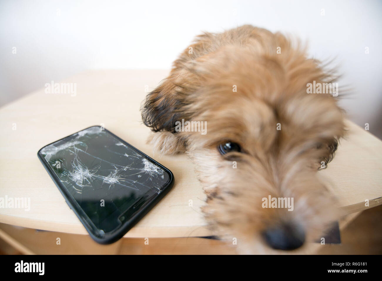 Broken and damaged smartphone with cracks on glass screen next to ...