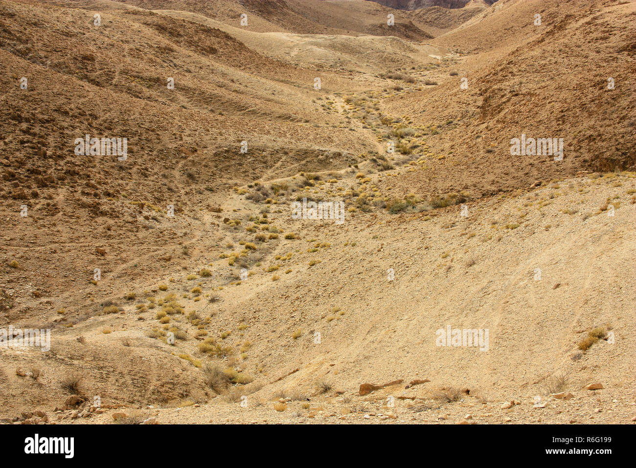 Landscape of the Negev desert in Israel Stock Photo - Alamy