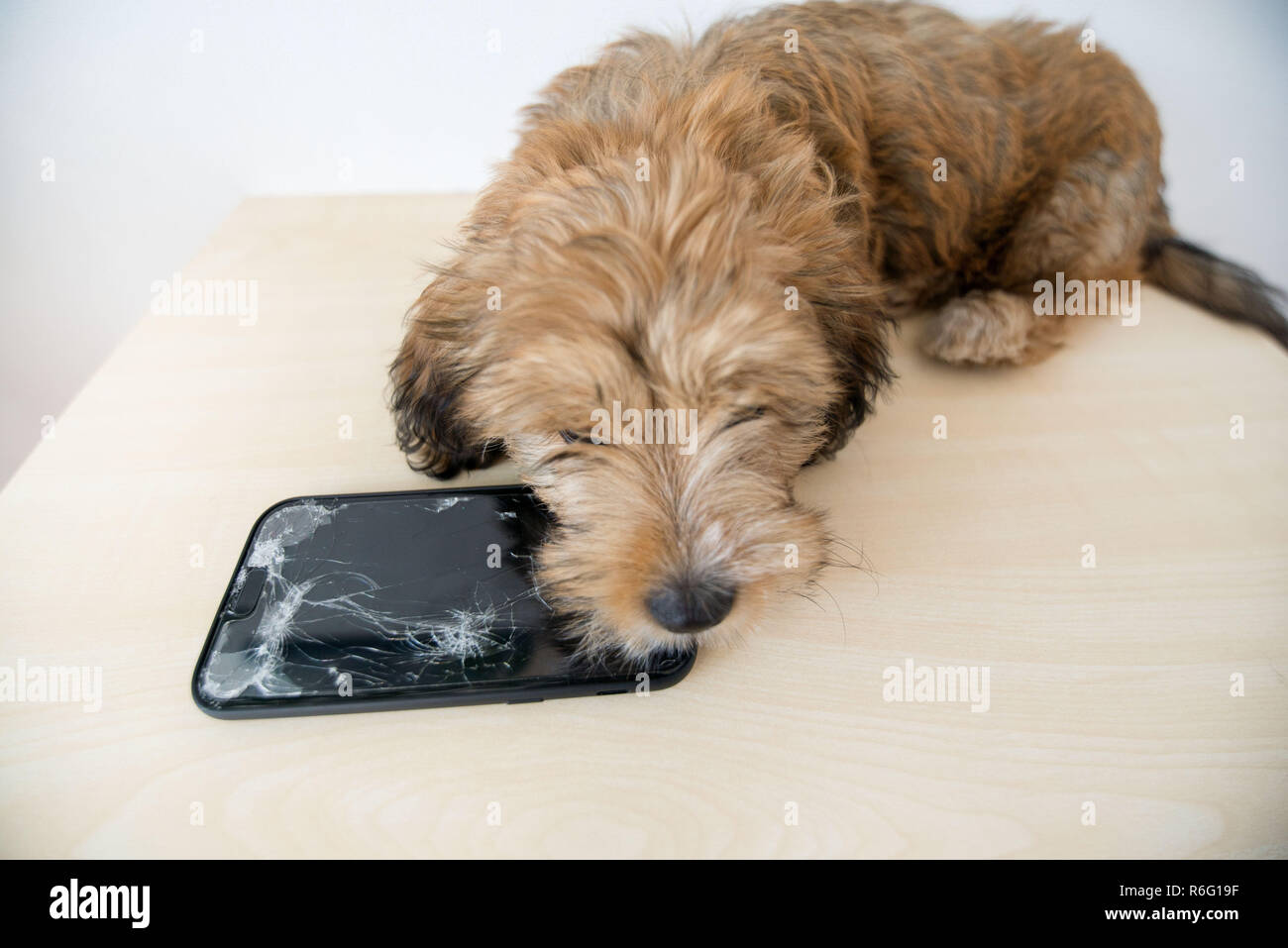 Broken and damaged smartphone with cracks on glass screen next to ...
