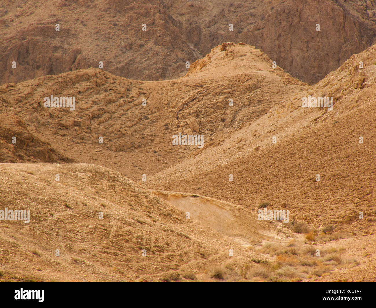 Landscape of the Negev desert in Israel Stock Photo - Alamy
