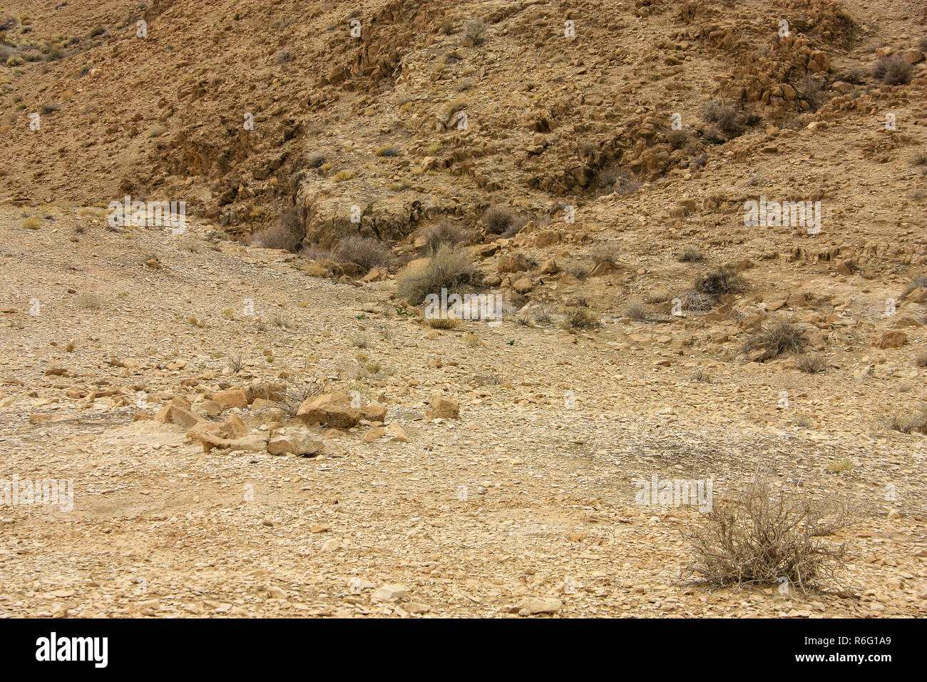 Landscape of the Negev desert in Israel Stock Photo - Alamy