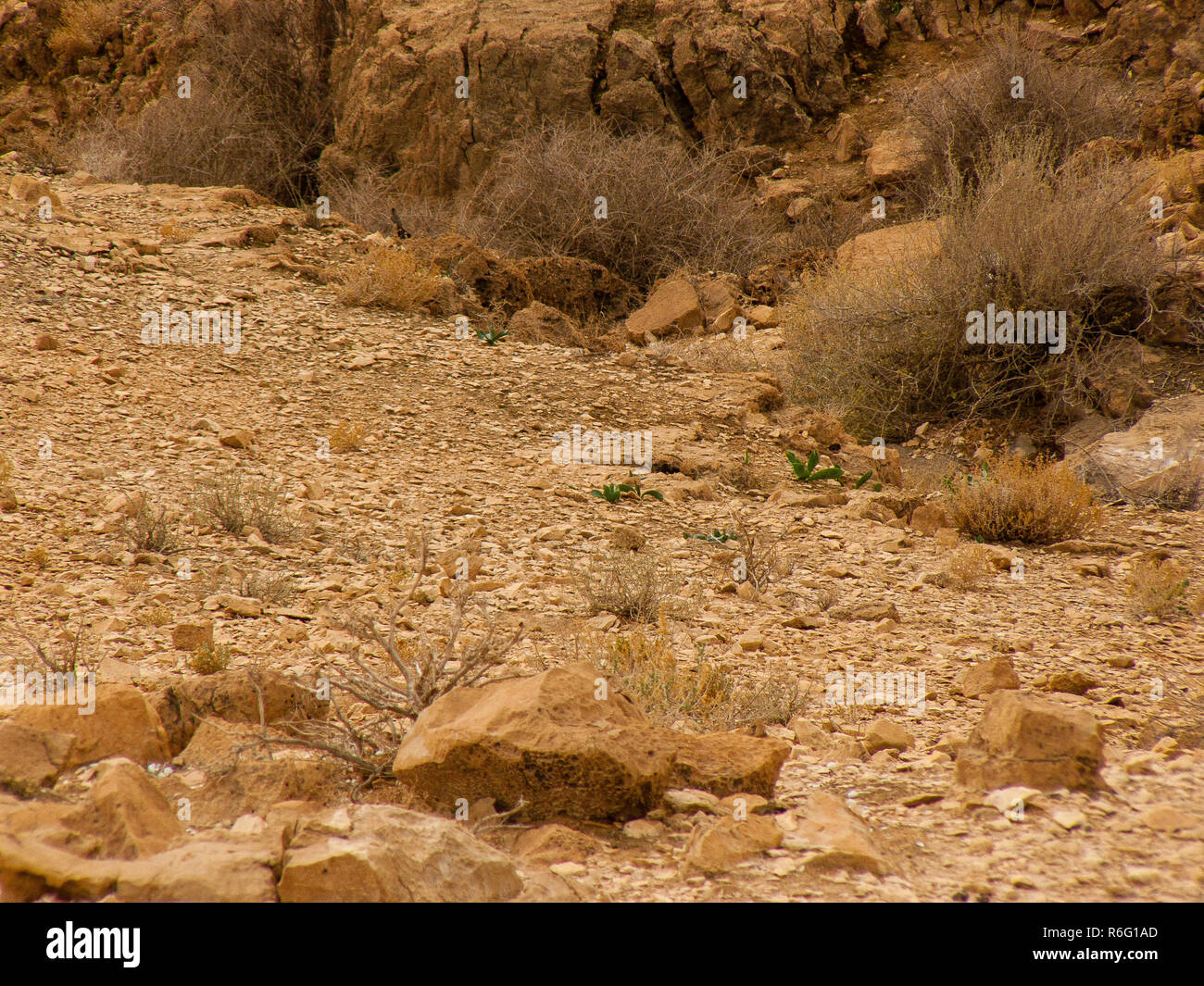 Landscape of the Negev desert in Israel Stock Photo - Alamy