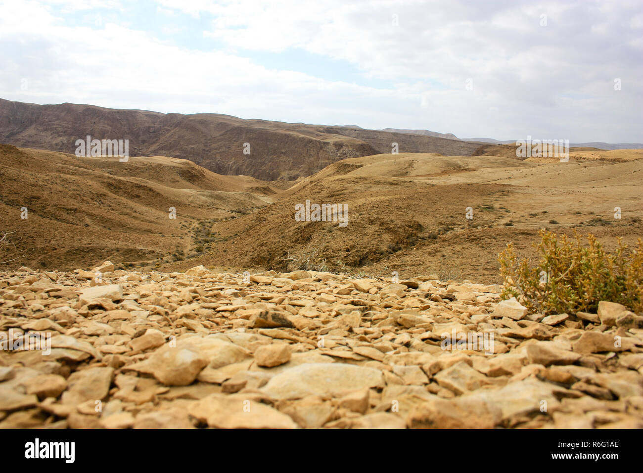 Landscape of the Negev desert in Israel Stock Photo - Alamy